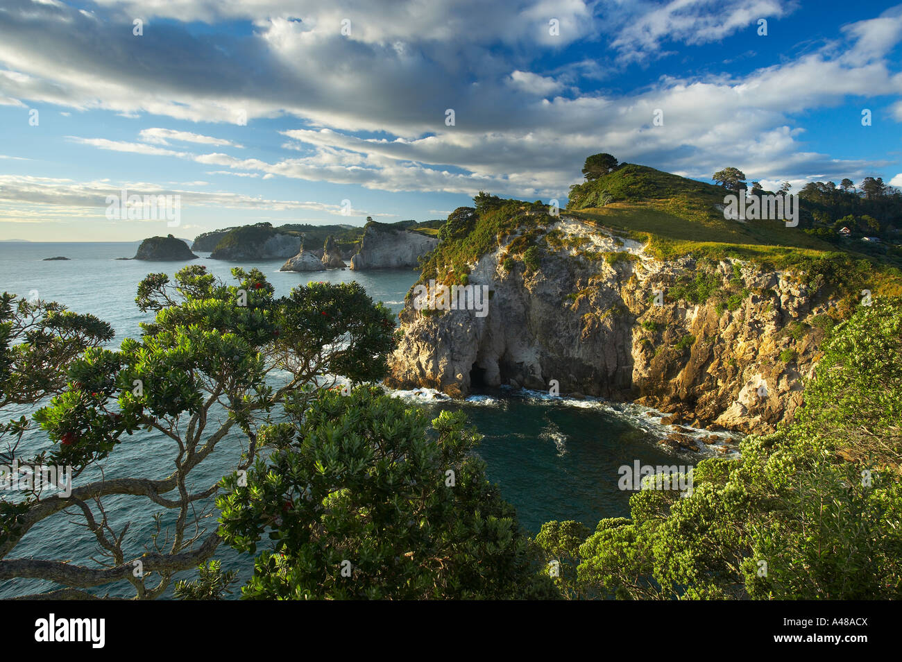 Te pare point hi-res stock photography and images - Alamy