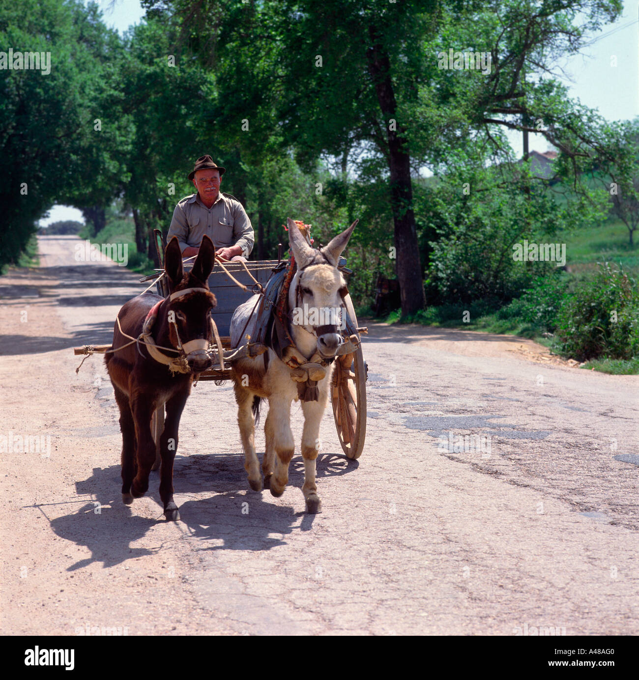 Donkey cart farm hi-res stock photography and images - Alamy