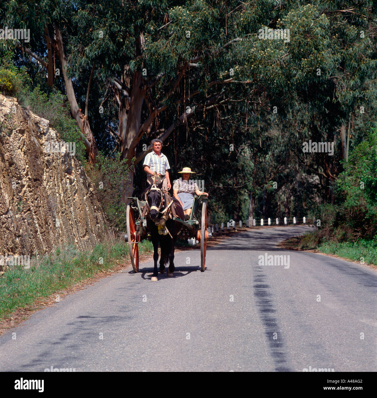 Mule and cart hi-res stock photography and images - Alamy