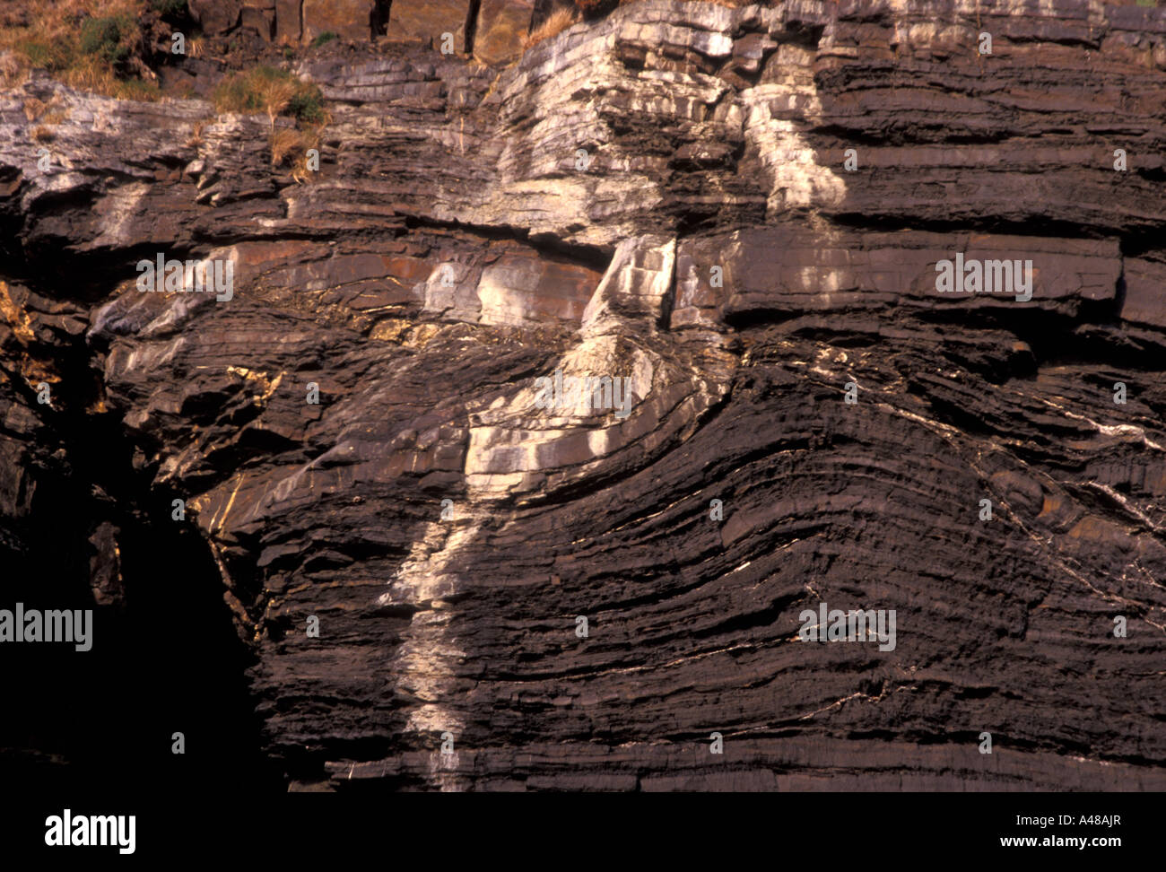 Anticline fold in sedimentary Ordovician rocks Druidston Haven ...