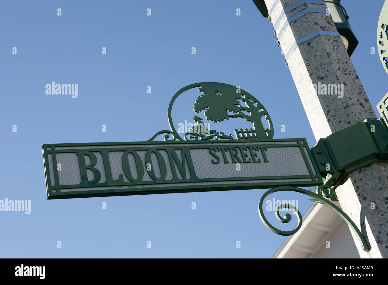 Celebration Town, Florida, USA, bloom street road sign Stock Photo - Alamy