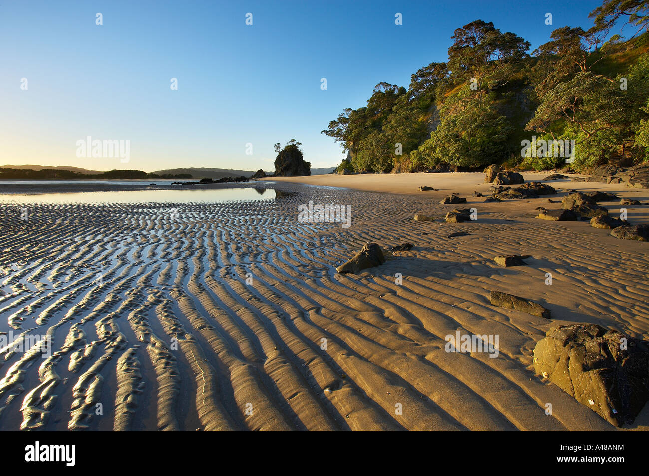 ripples in the sand at Opera Point Whangapoua Harbour Coromandel ...