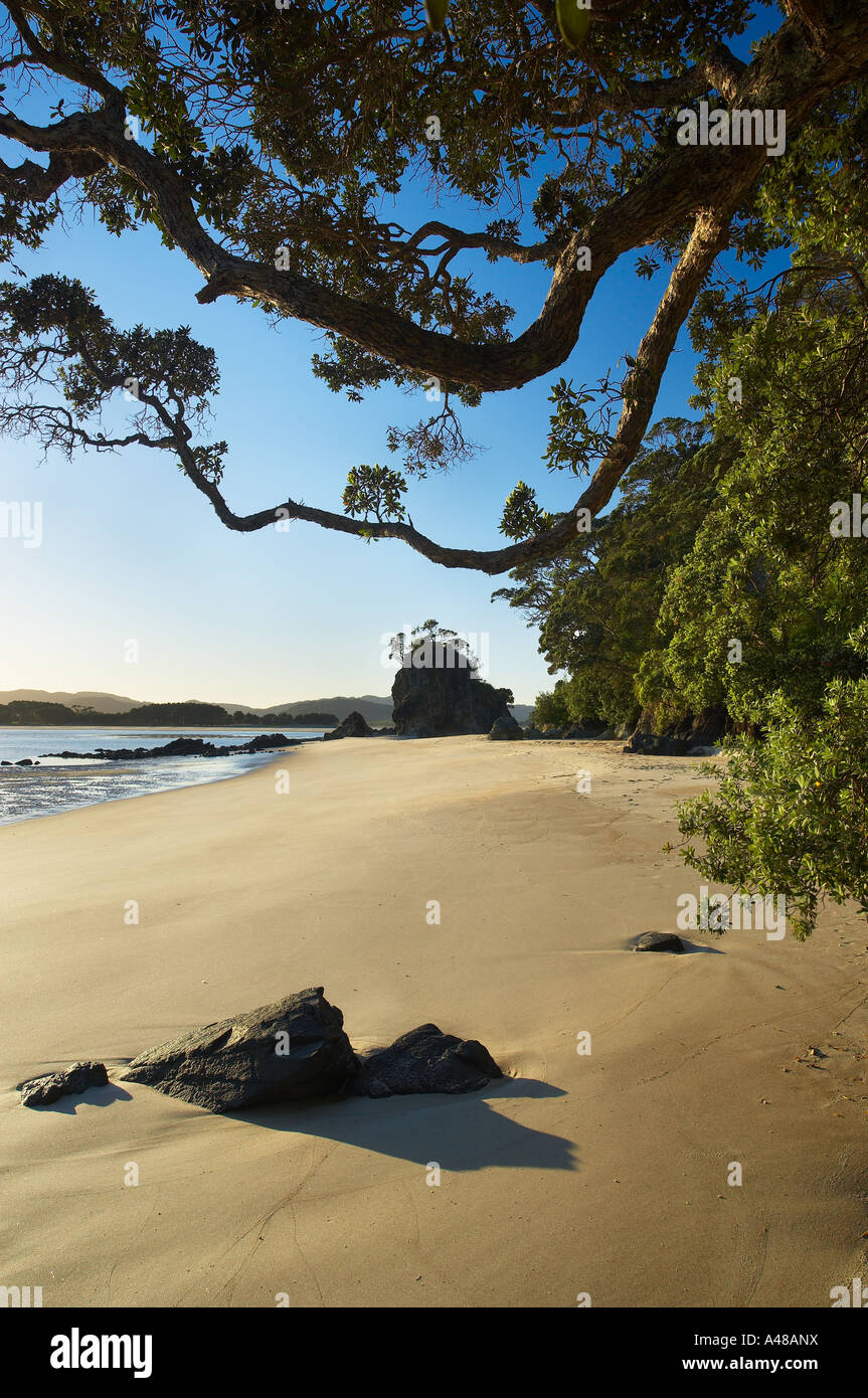 a deserted beach at Opera Point Whangapoua Harbour Coromandel Peninsula ...