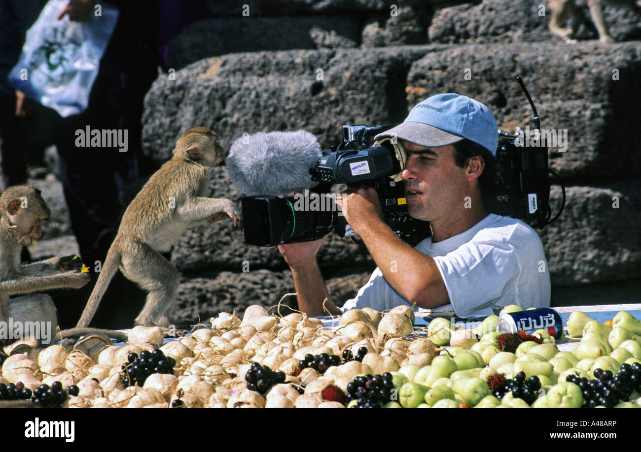 Monkey party thai hi-res stock photography and images - Alamy