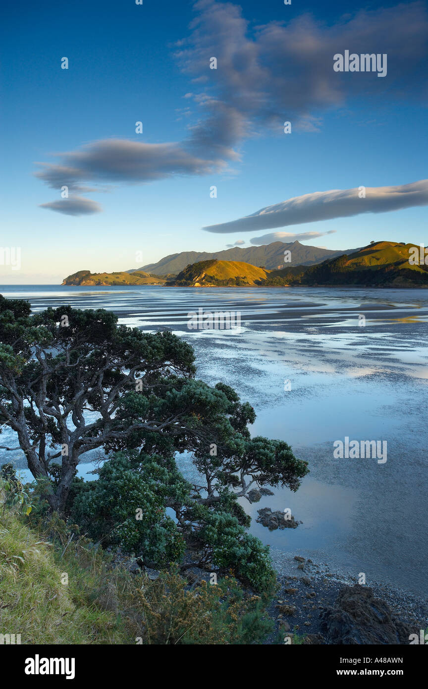 Mount moehau coromandel hi-res stock photography and images - Alamy