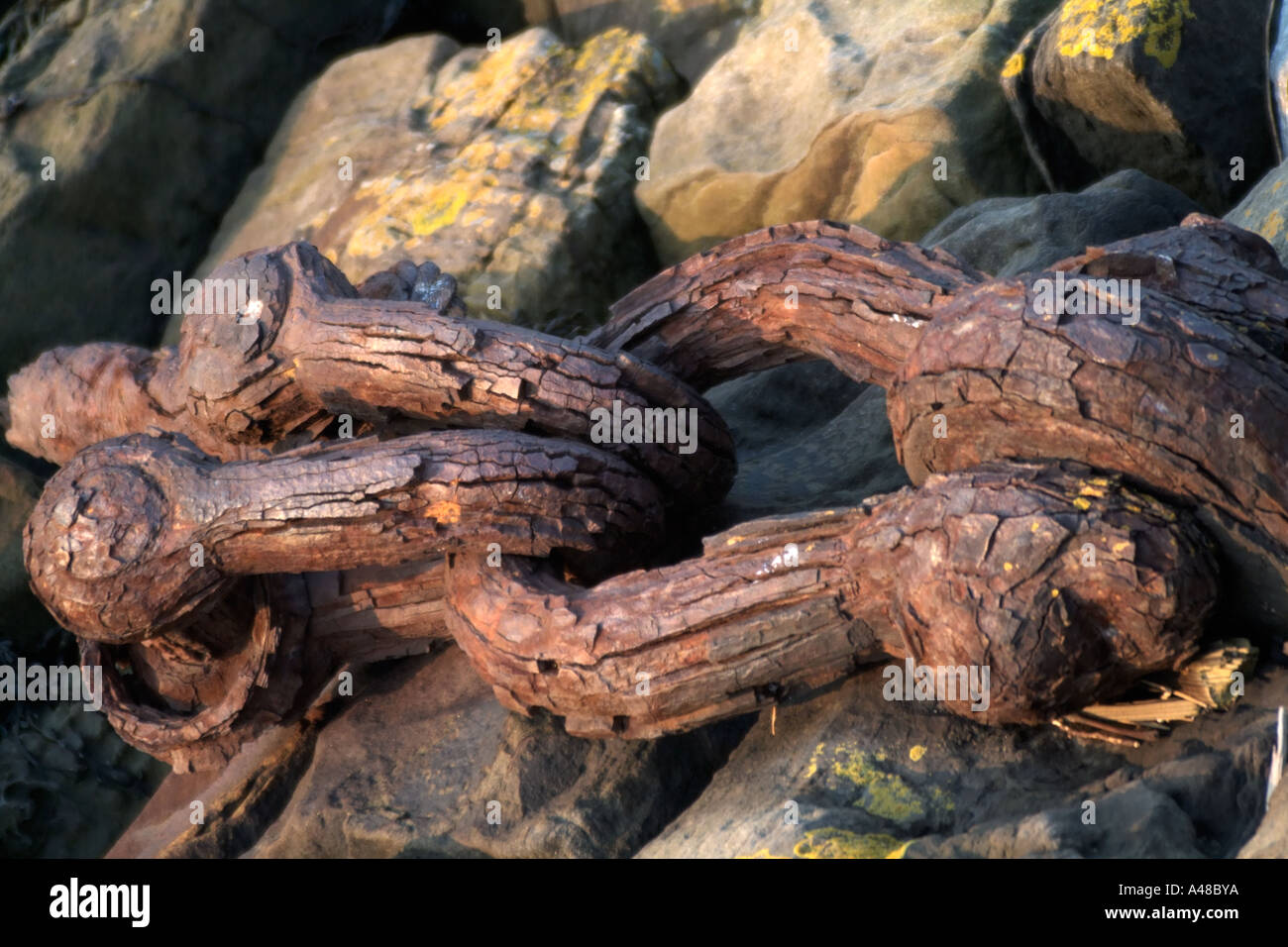 Old rusty shackles on the breakwater at Granton Harbour Edinburgh ...