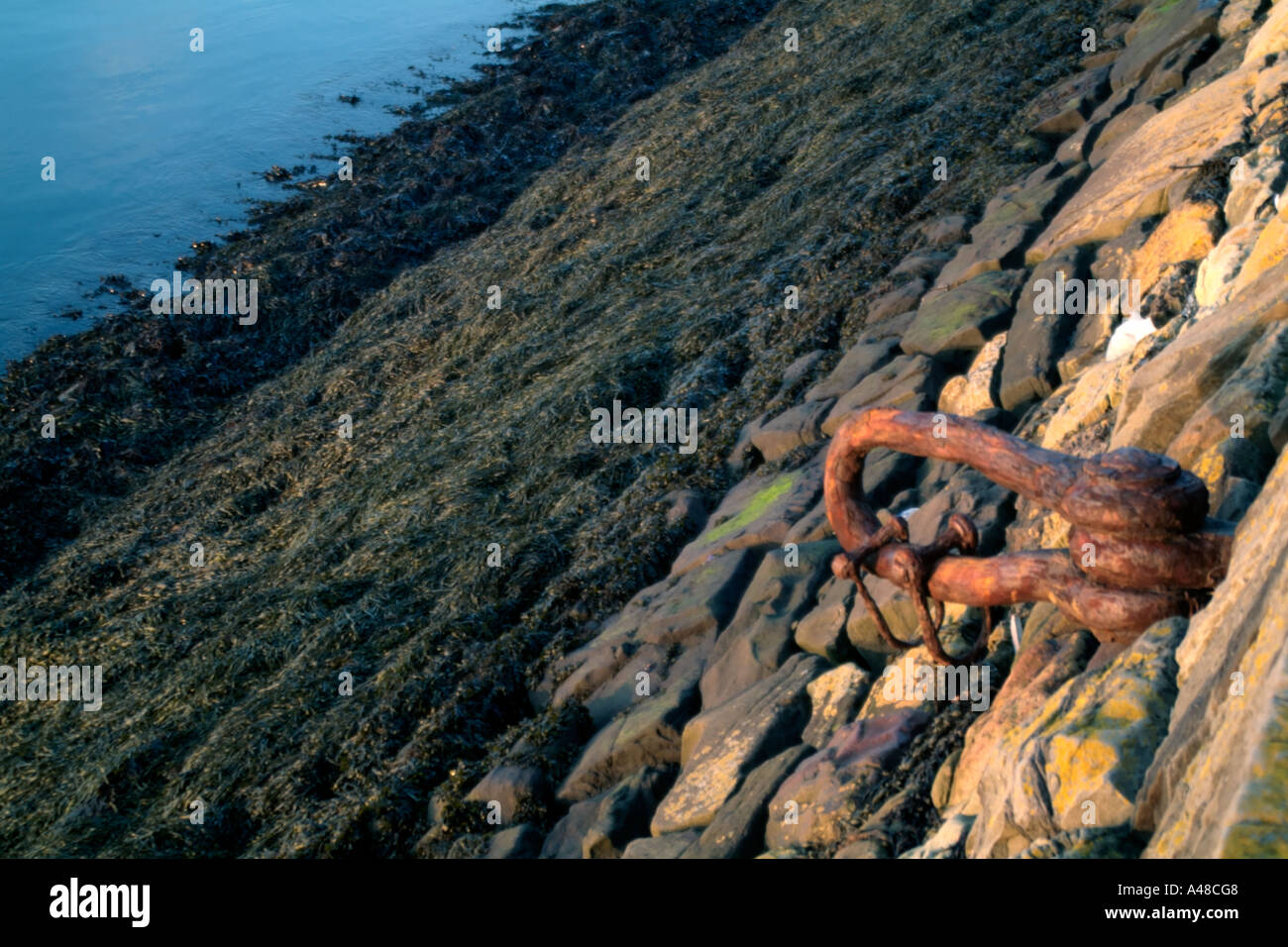 Old rusty shackles on the breakwater at Granton Harbour Edinburgh ...