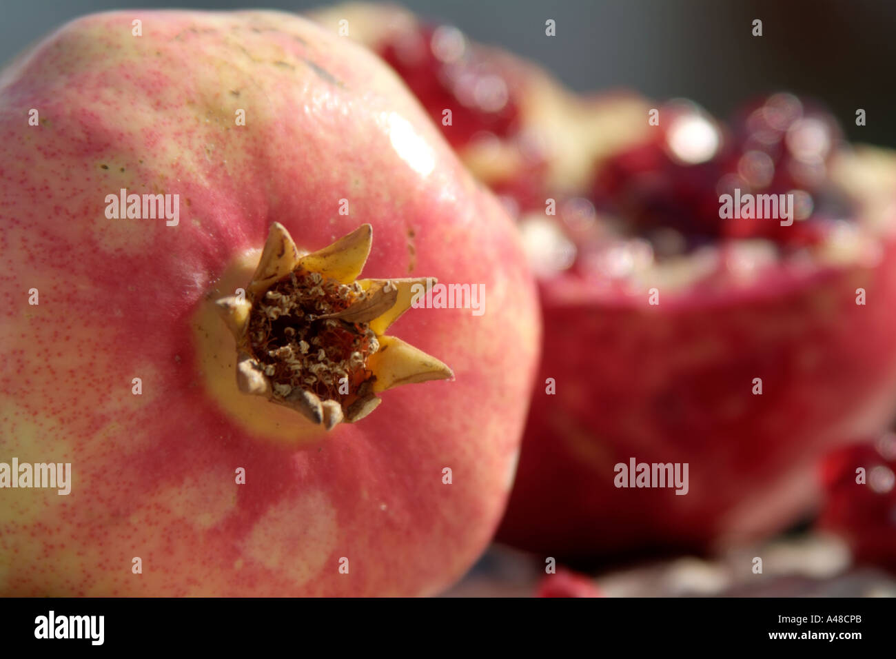 Pomegranate Crown High Resolution Stock Photography and Images - Alamy