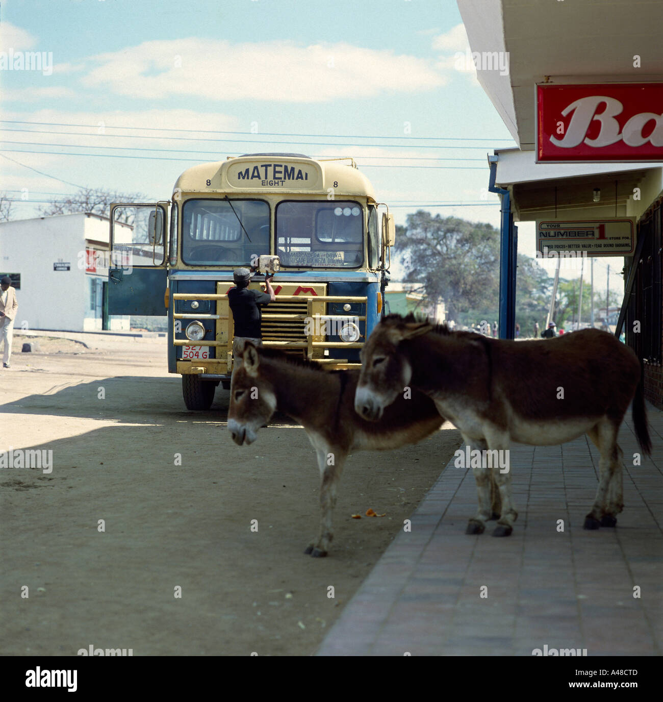 Donkeys at busstop Stock Photo - Alamy