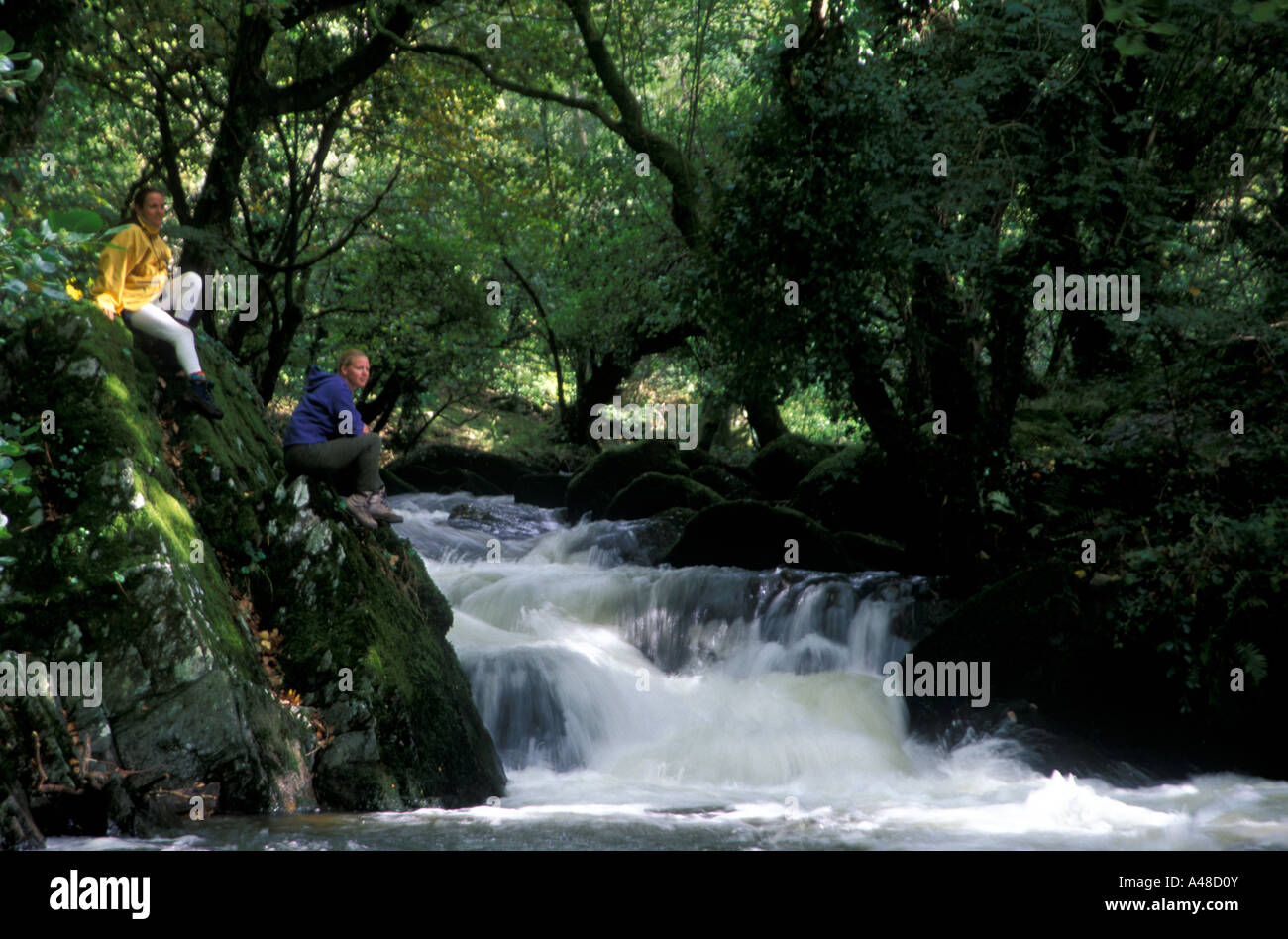 Gwaun Valley Waterfall Walk | New Gwaun Valley path reveals tallest ...