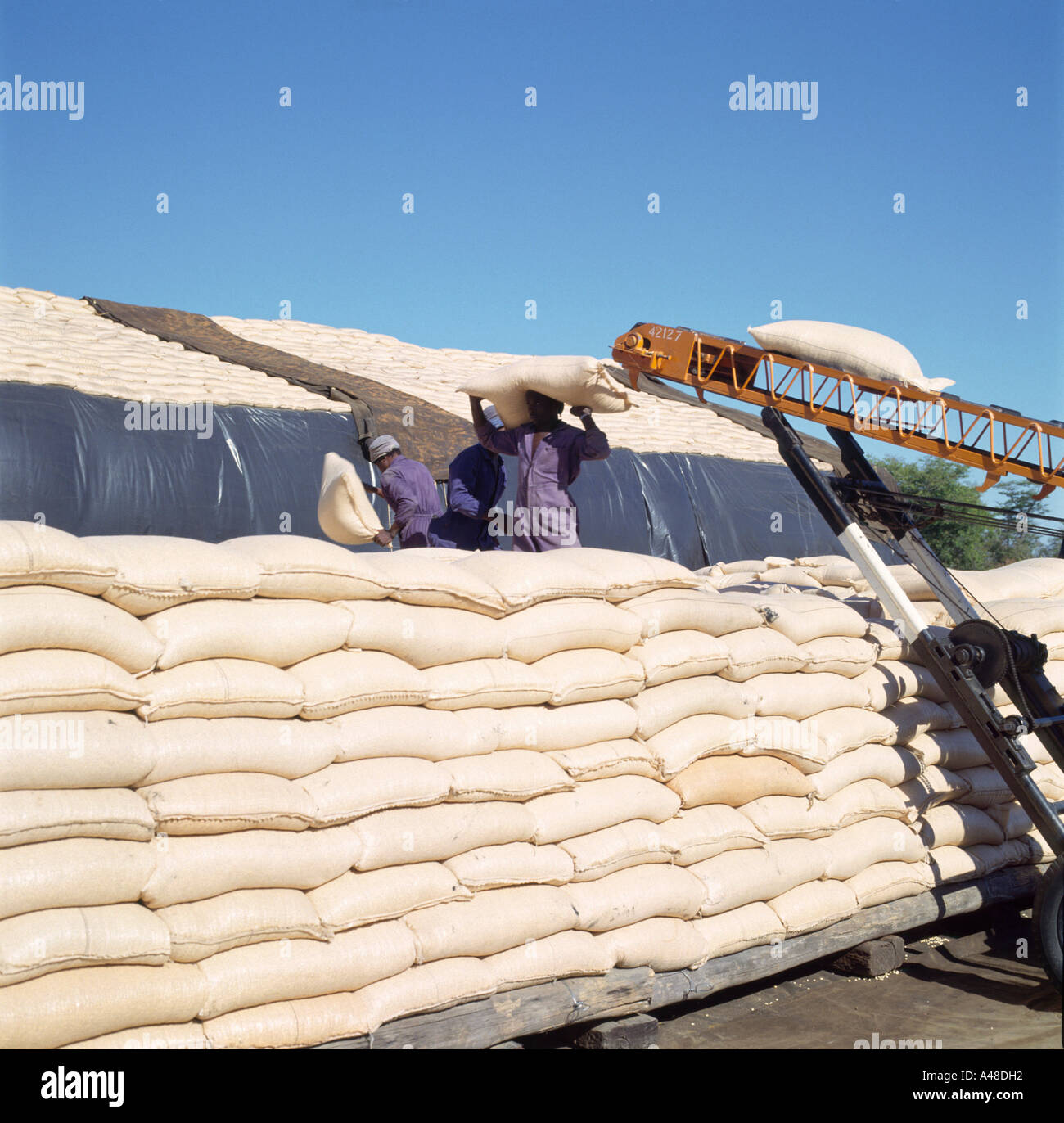 Sacks of corn hi-res stock photography and images - Alamy