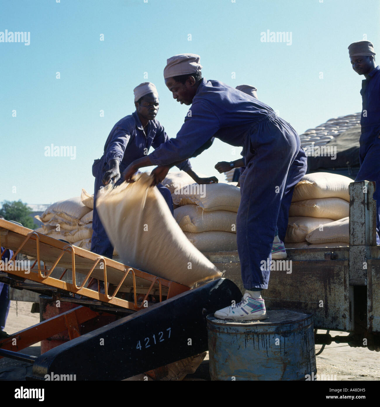 Stores of sacks with corn Stock Photo - Alamy