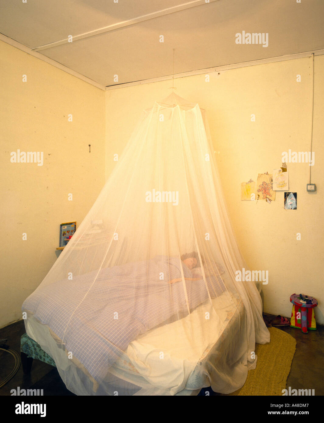 Moskito hi-res stock photography and images - Alamy