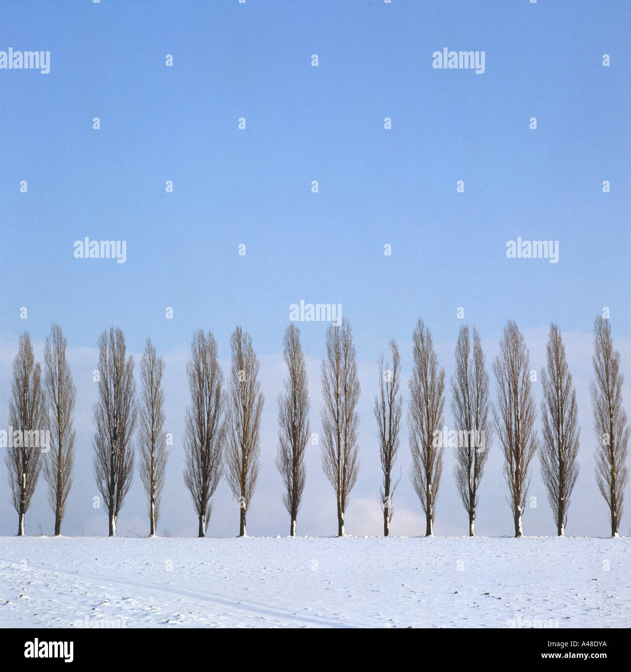 Aspen square hi-res stock photography and images - Alamy