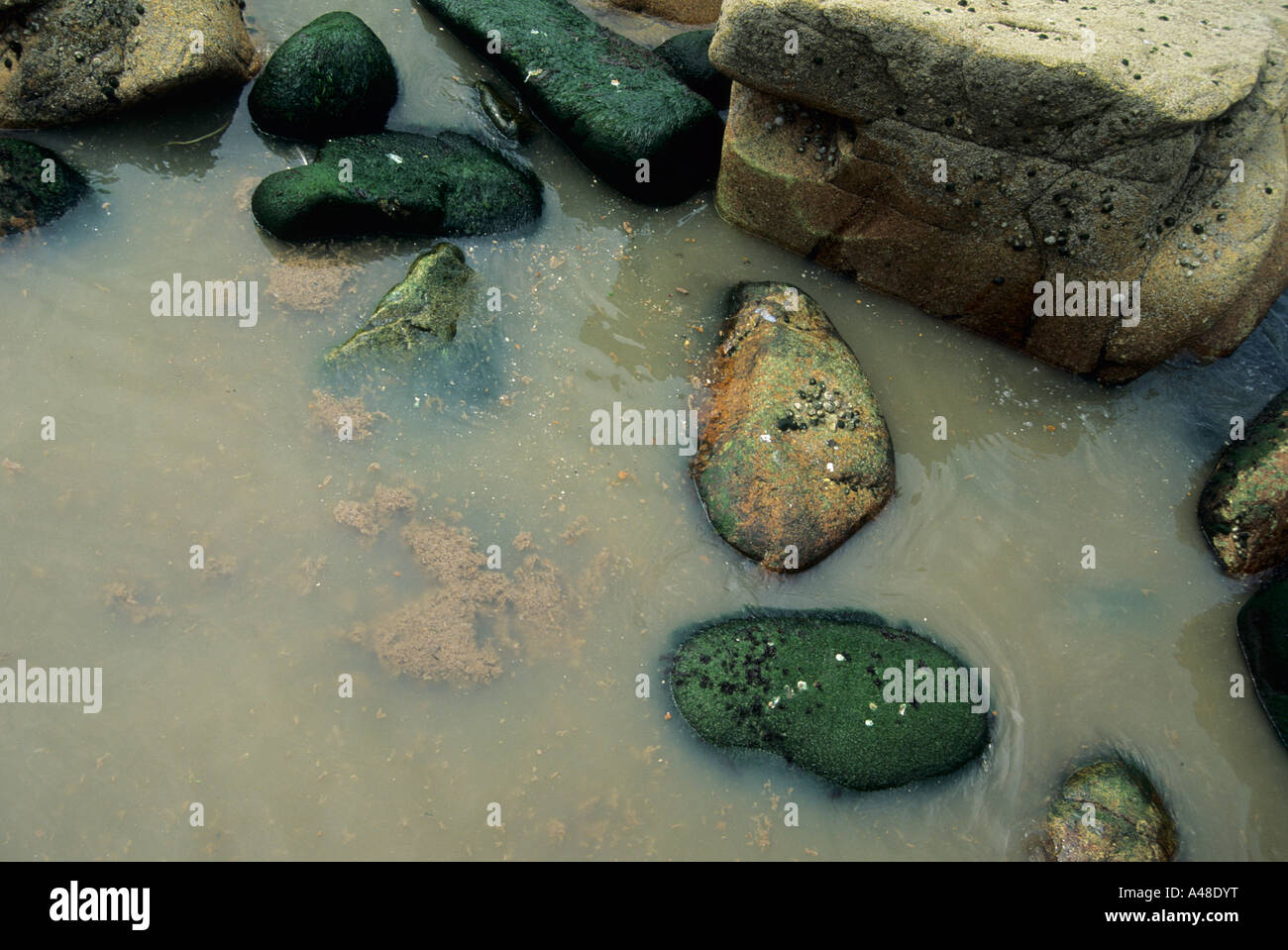 Raw Sewage Uk High Resolution Stock Photography and Images - Alamy