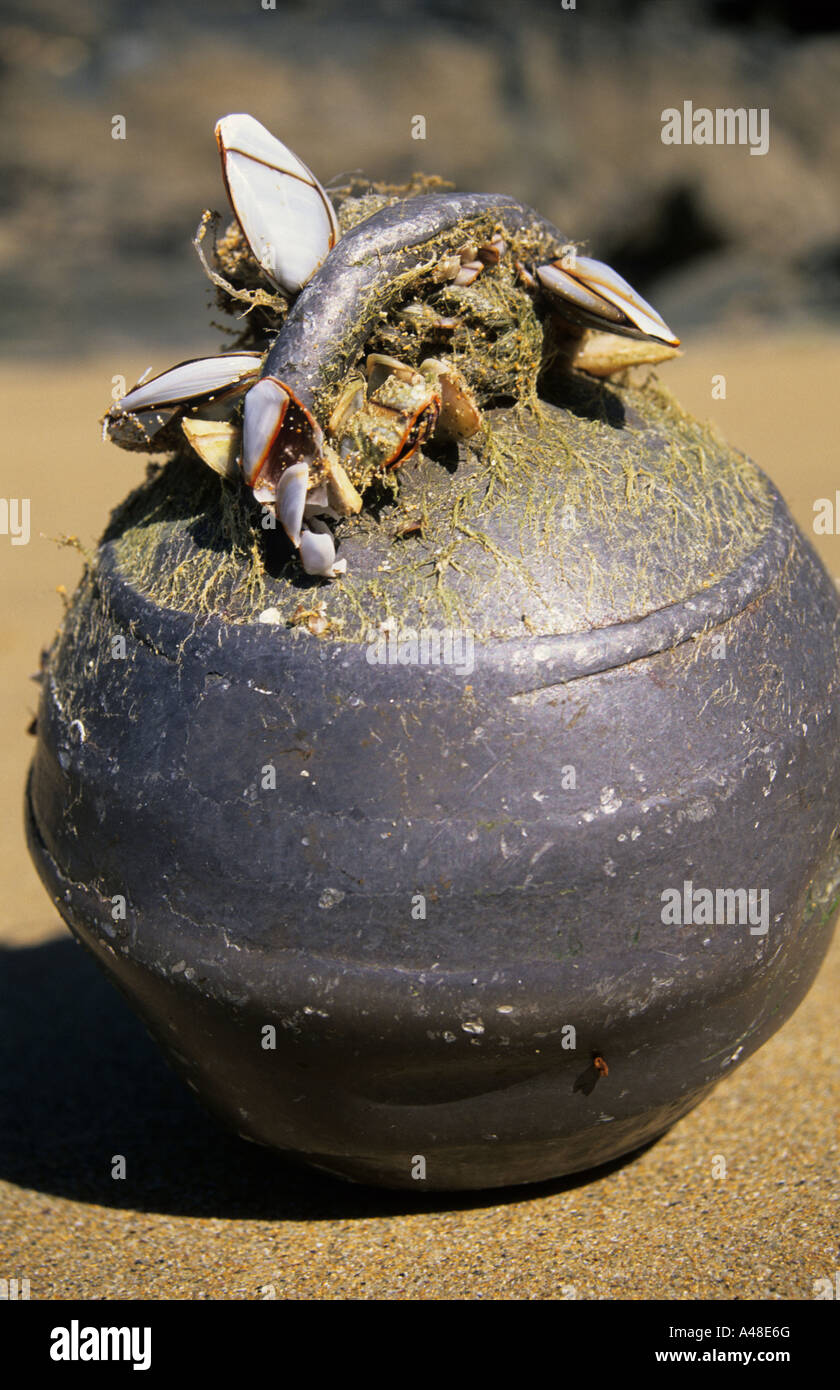 Buoy barnacles hi-res stock photography and images - Alamy
