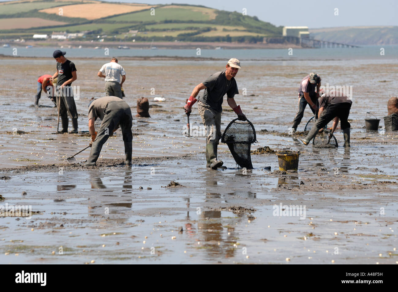 Cockle Pickers Stock Photos & Cockle Pickers Stock Images - Alamy