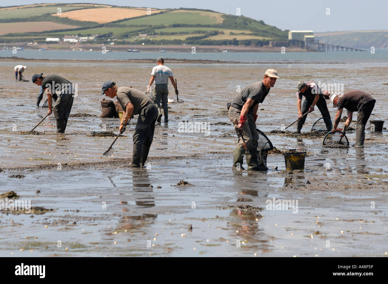Cockle pickers hi-res stock photography and images - Alamy