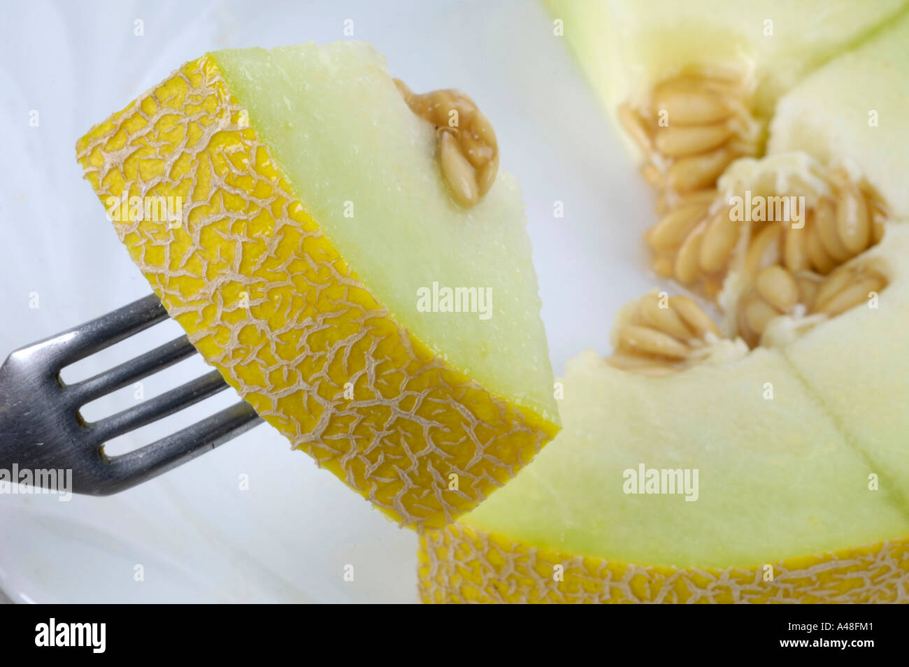 Galia melon cucumis melo hi-res stock photography and images - Alamy