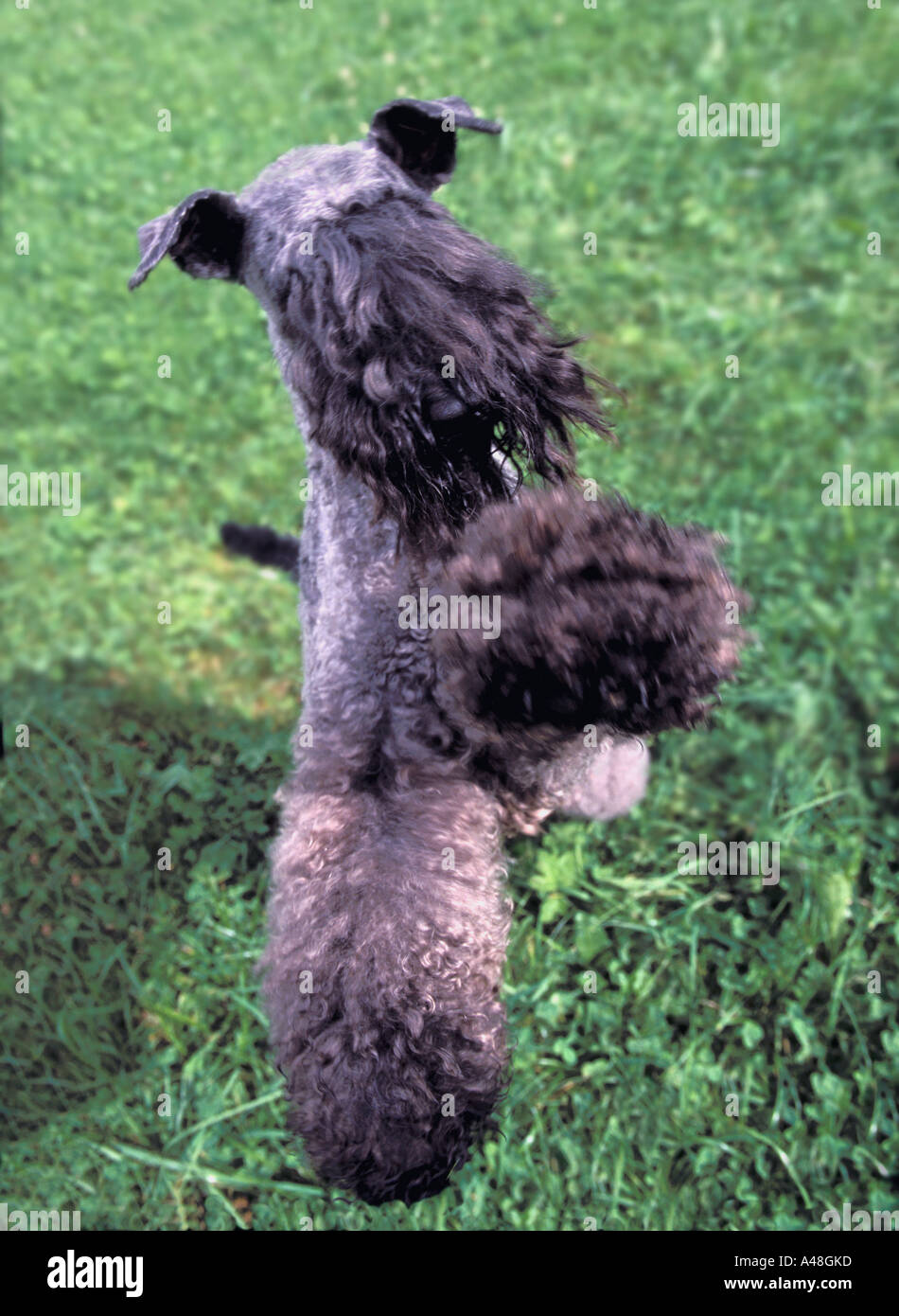 Interested jump hi-res stock photography and images - Alamy