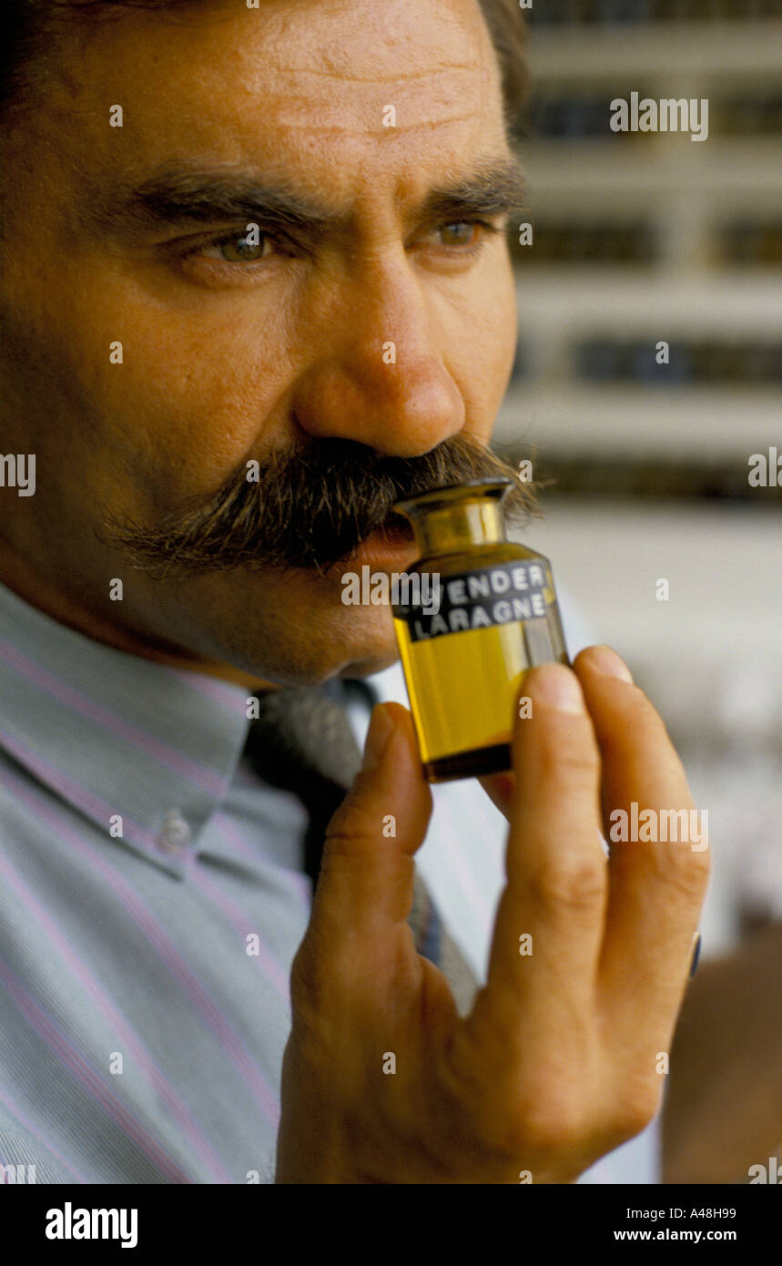 perfume manufacture. A perfumier testing the scents of perfume Stock ...