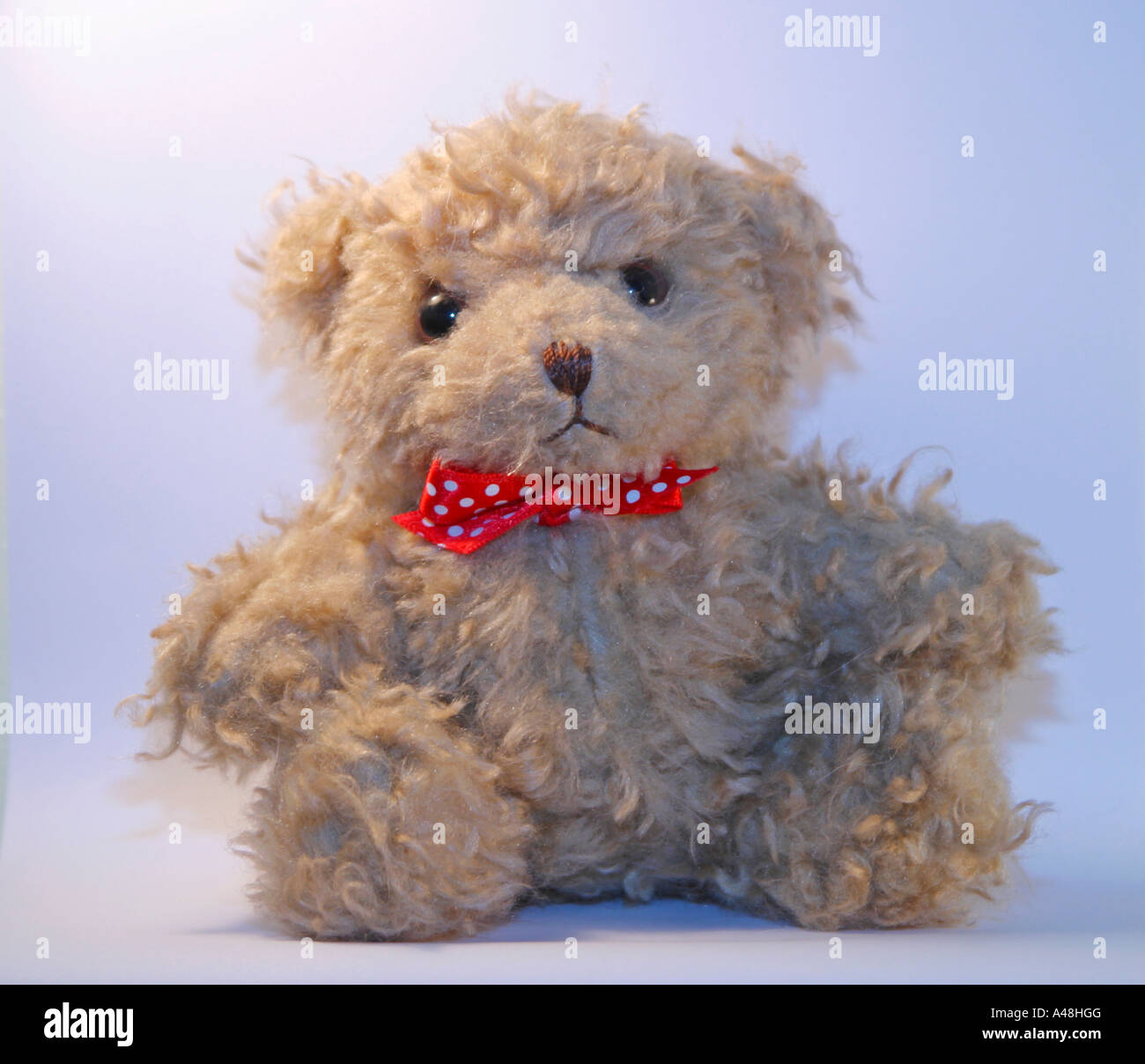 Scruffy hi-res stock photography and images - Alamy