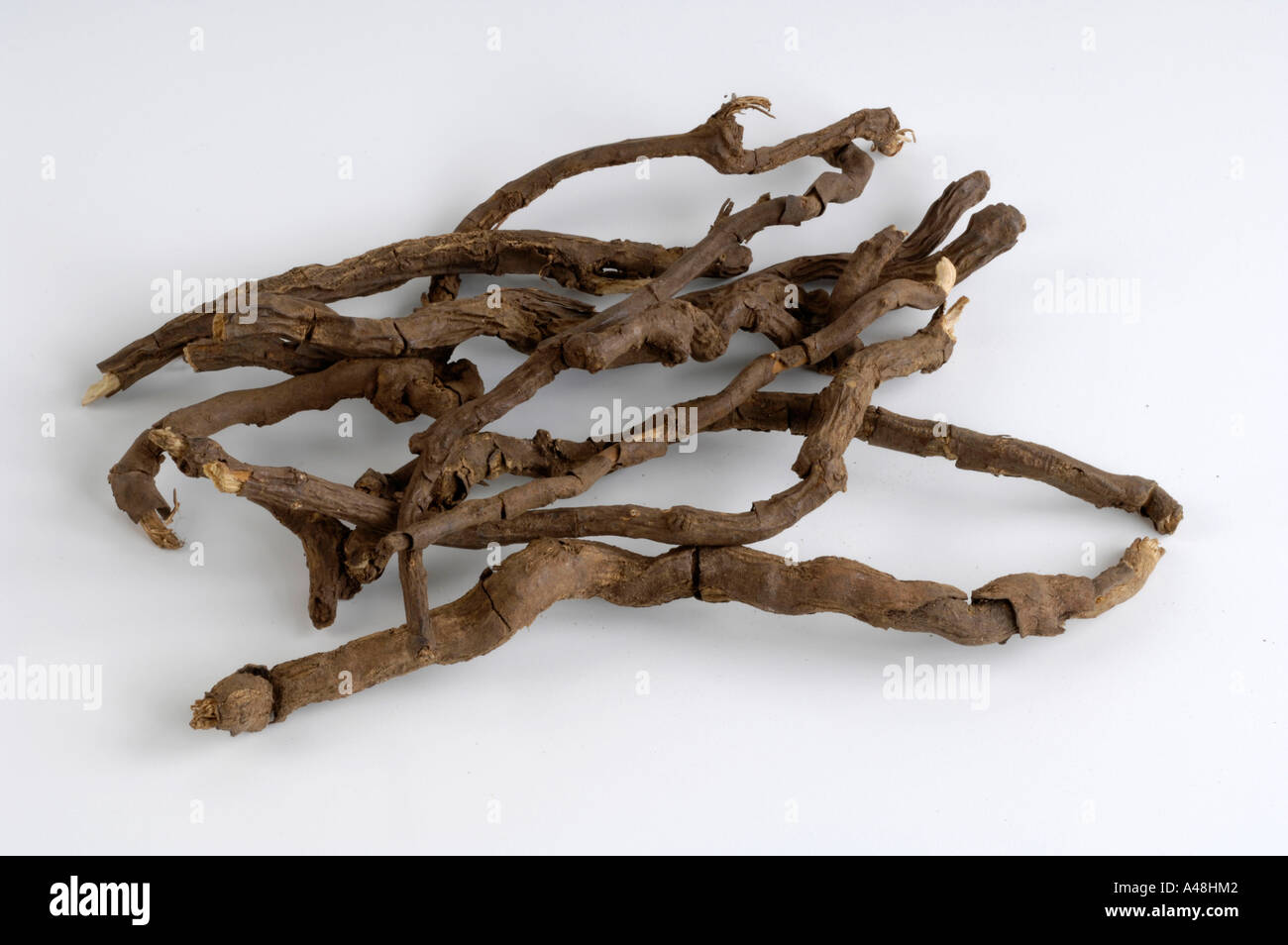 Sarsaparilla roots hi-res stock photography and images - Alamy