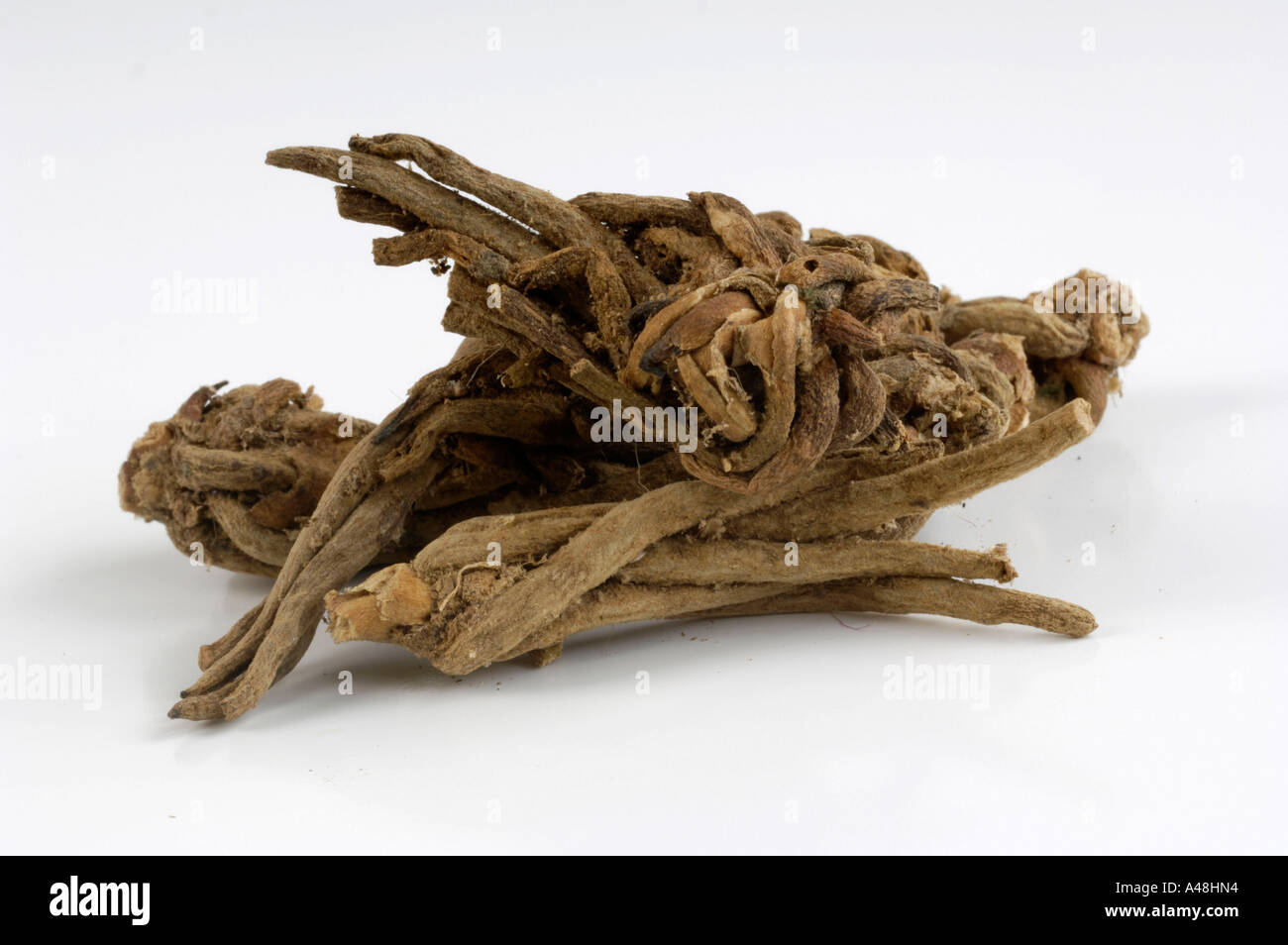 Indian valerian hi-res stock photography and images - Alamy