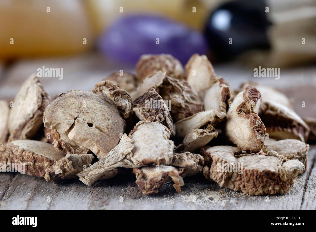 Zedoary hi-res stock photography and images - Alamy