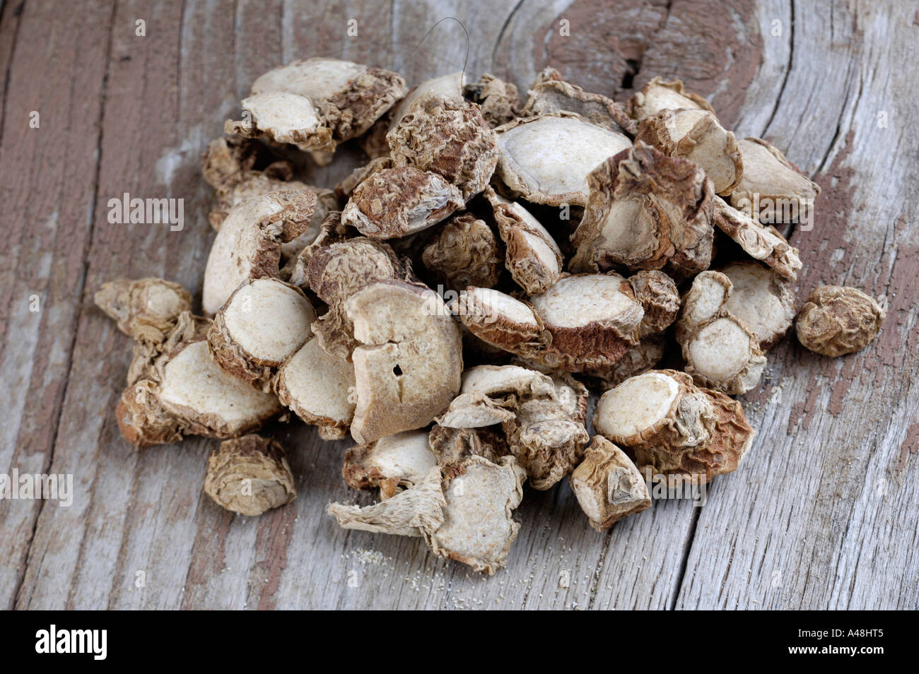 Zedoary hi-res stock photography and images - Alamy