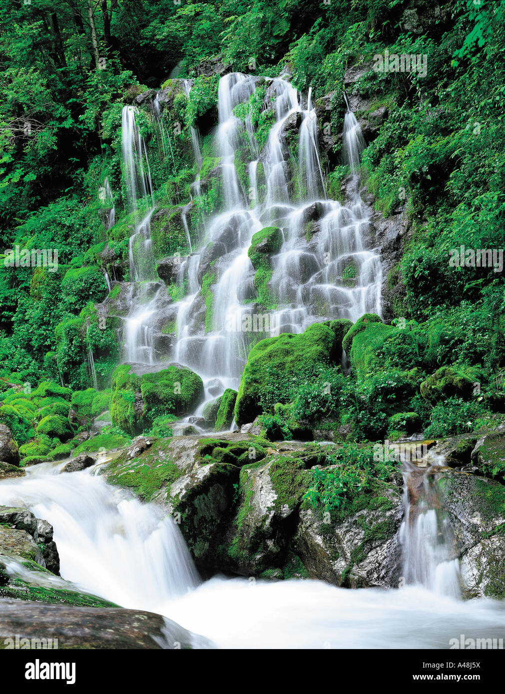 Low angle view of a waterfall Stock Photo - Alamy