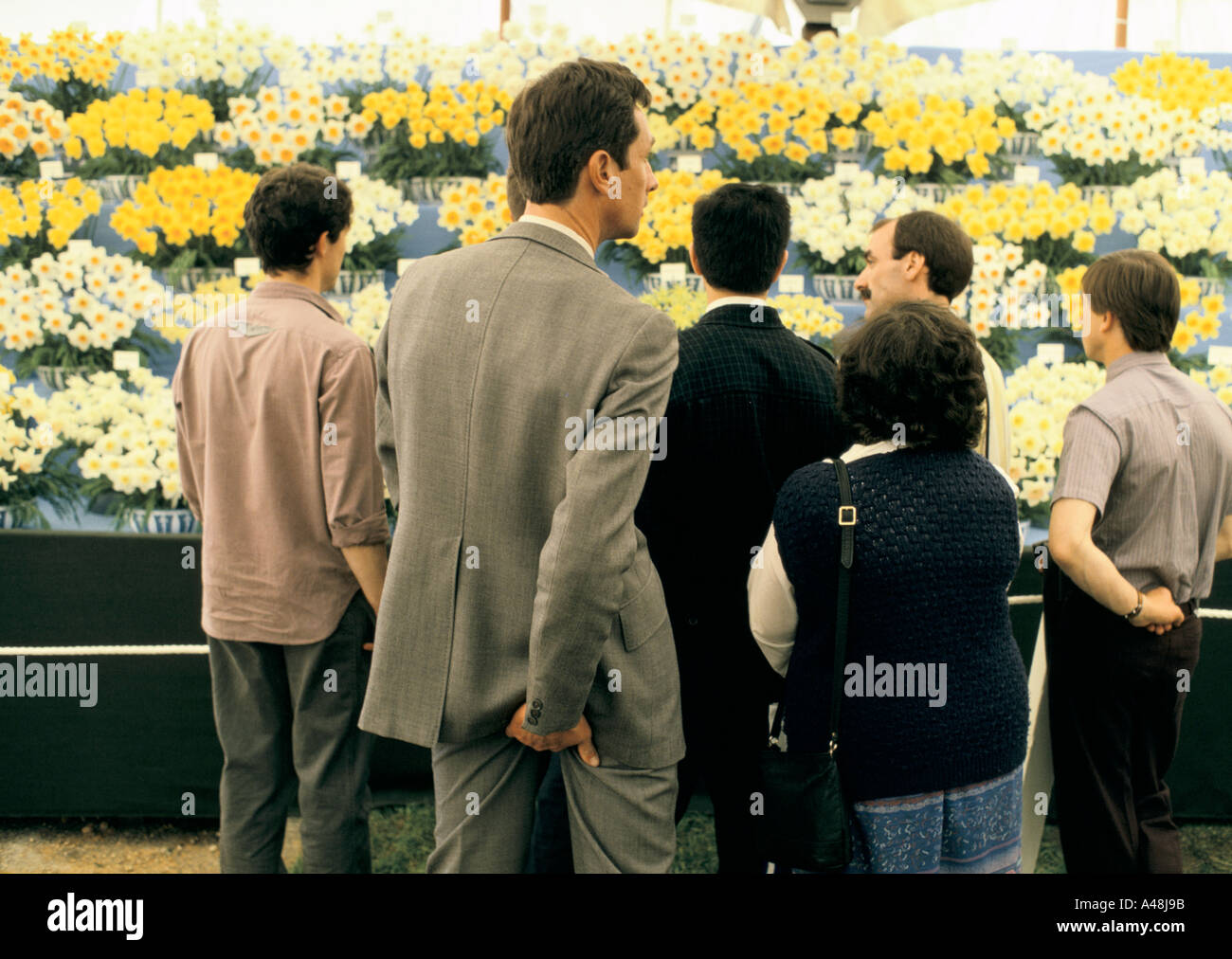 Itchy bottom hi-res stock photography and images - Alamy