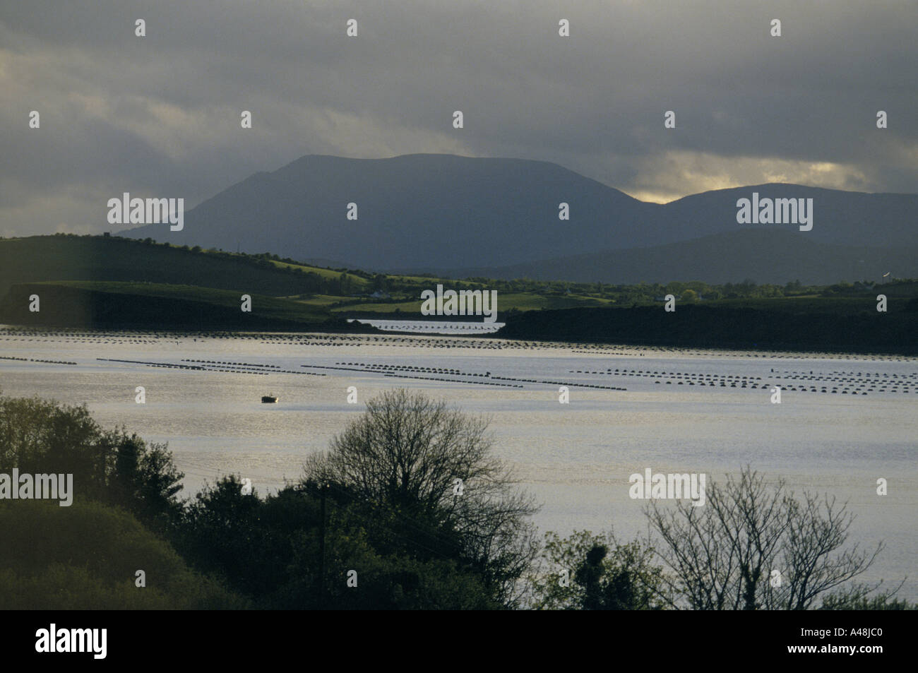 Bantry bay county cork eire Stock Photo - Alamy