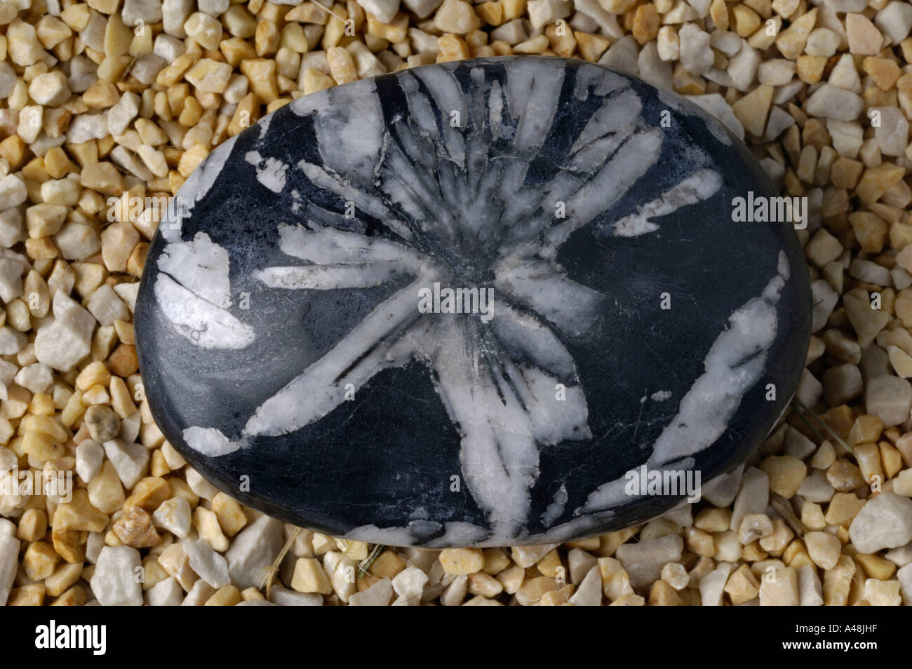 Porphyrit hi-res stock photography and images - Alamy