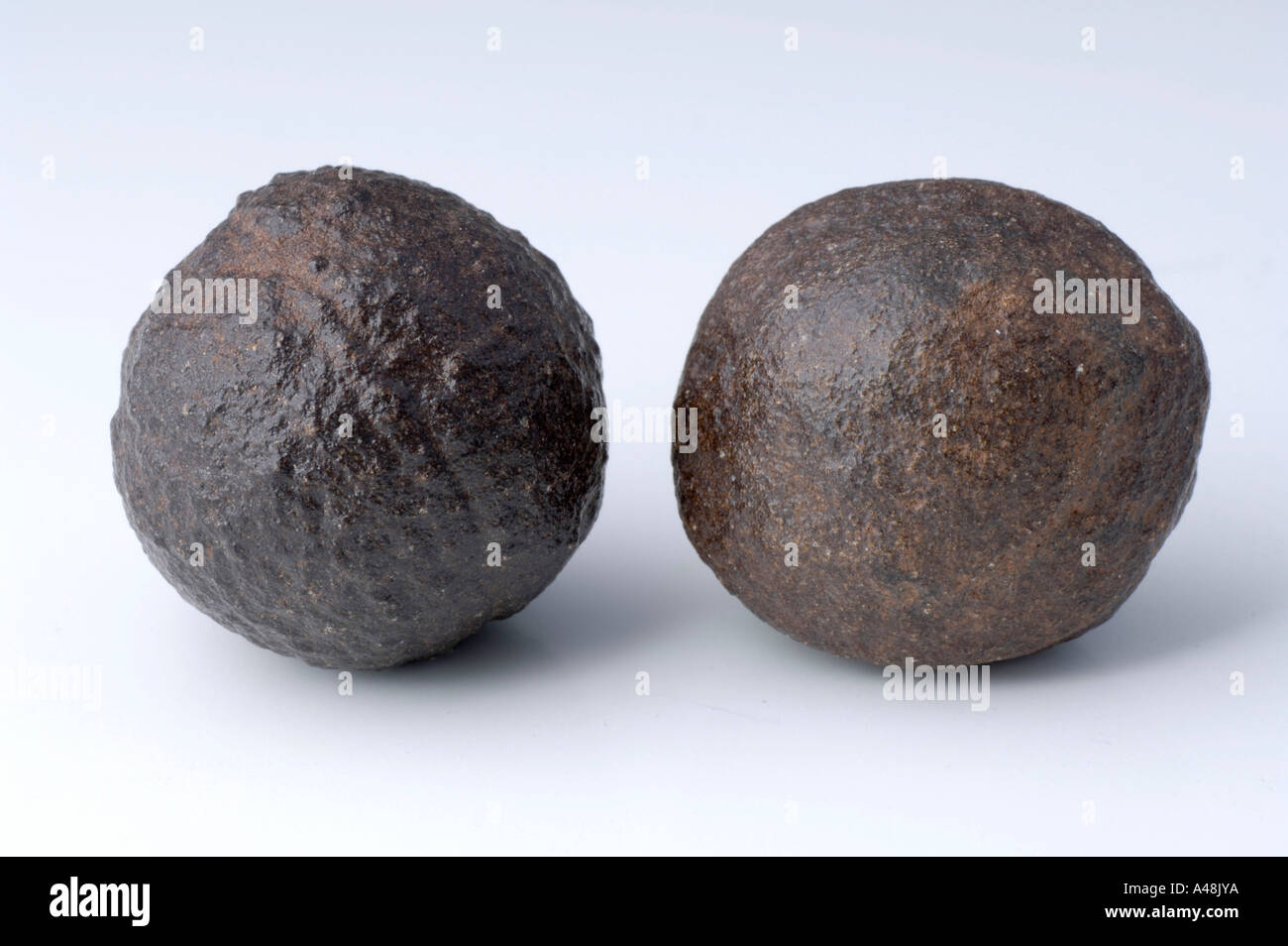 Moqui hi-res stock photography and images - Alamy