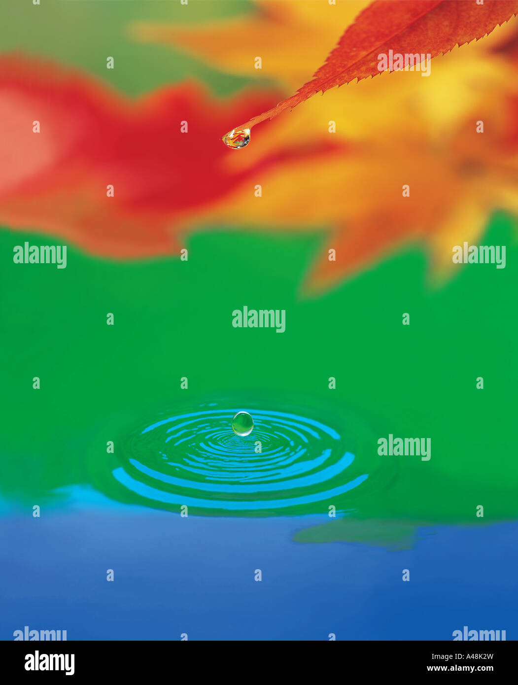 The dew is falling hi-res stock photography and images - Alamy