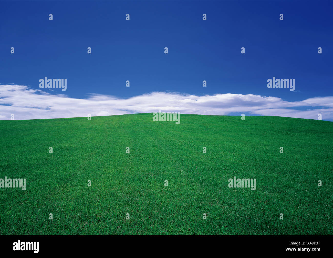 Grass on a landscape Stock Photo - Alamy