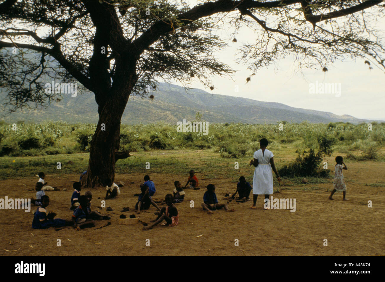 Children learning english in an open air classroom under a tree at a ...