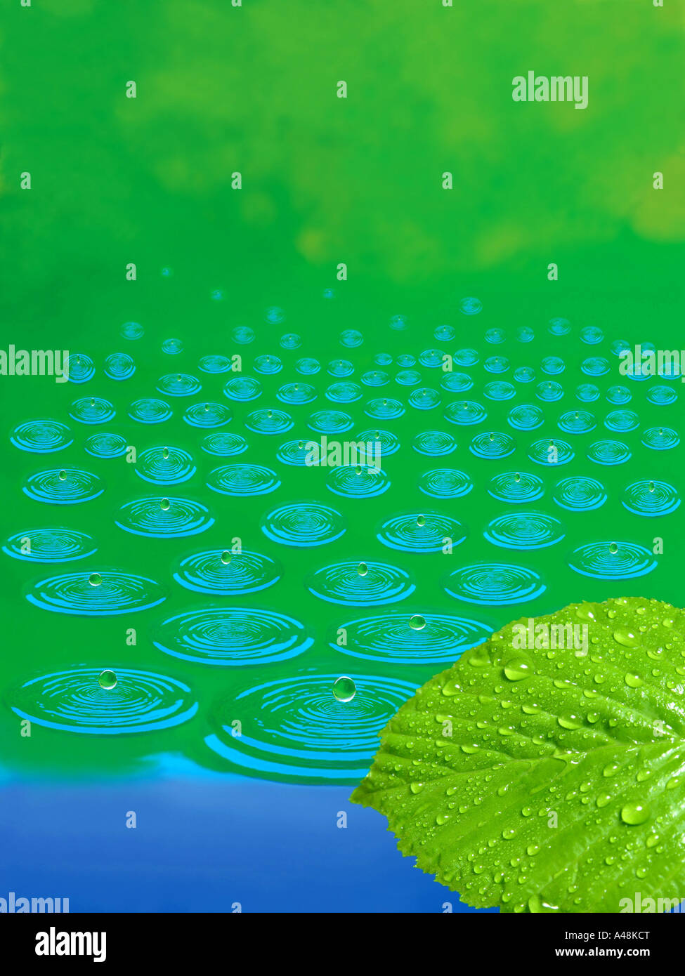 Close-up of dew drops falling from a leaf Stock Photo - Alamy