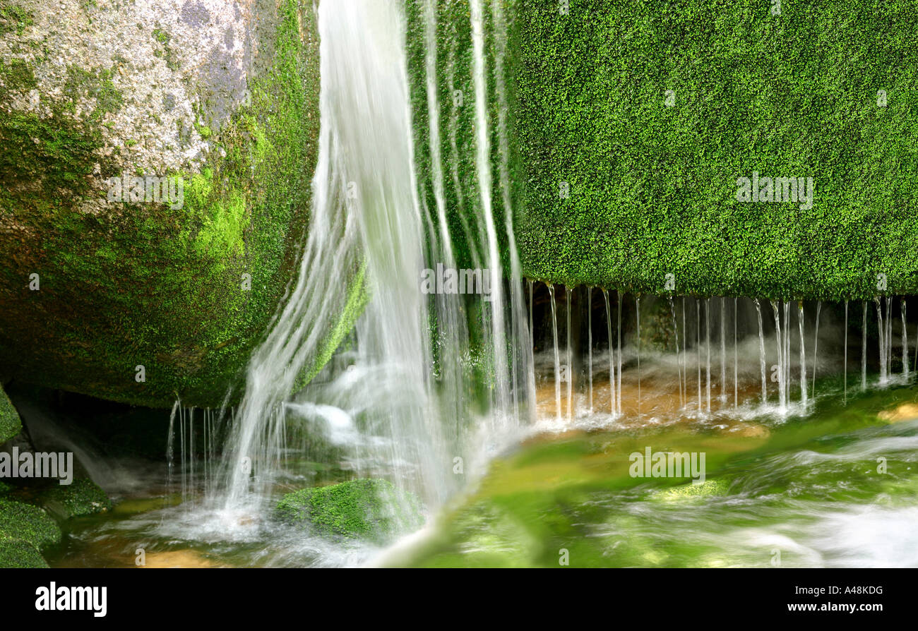 Waterfall in the forest Stock Photo - Alamy
