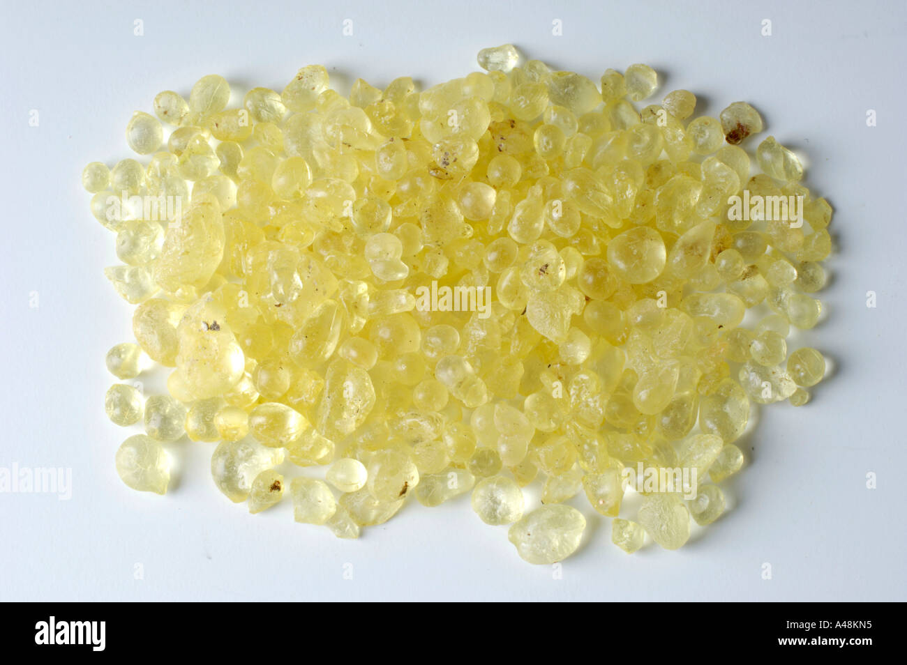 Mastic hi-res stock photography and images - Alamy
