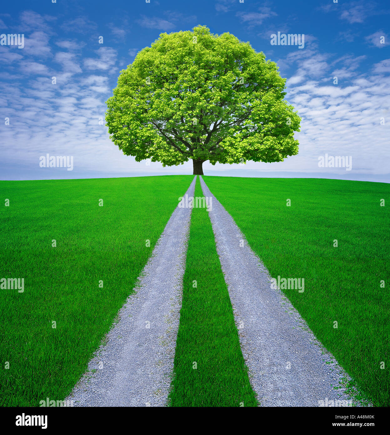 Path passing through a field Stock Photo - Alamy