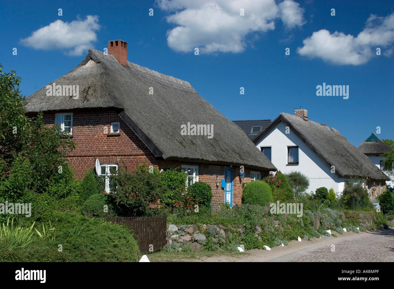Reed roofed house / Gross Zicker / Rieddachhaus Stock Photo - Alamy