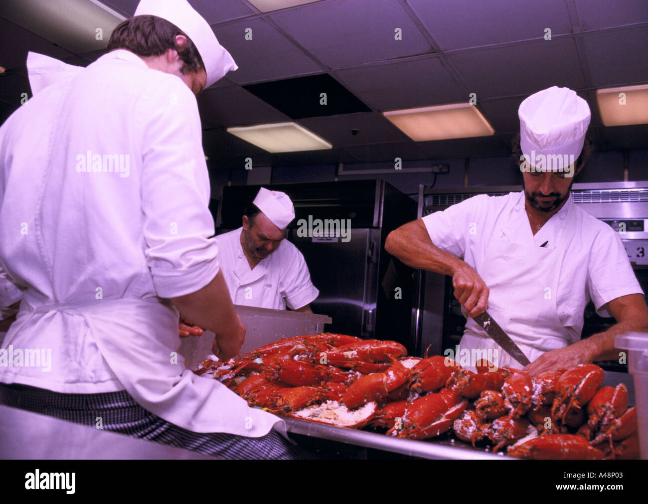 Chefs on board the queen elizabeth QE2 preparing lobsters for lunch ...