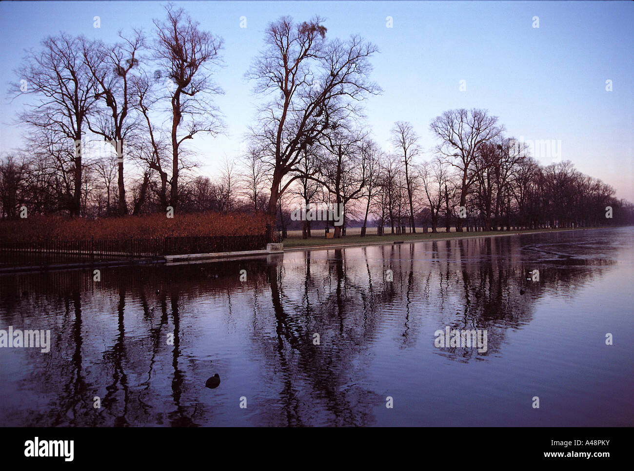 Clear reflection trees hi-res stock photography and images - Alamy
