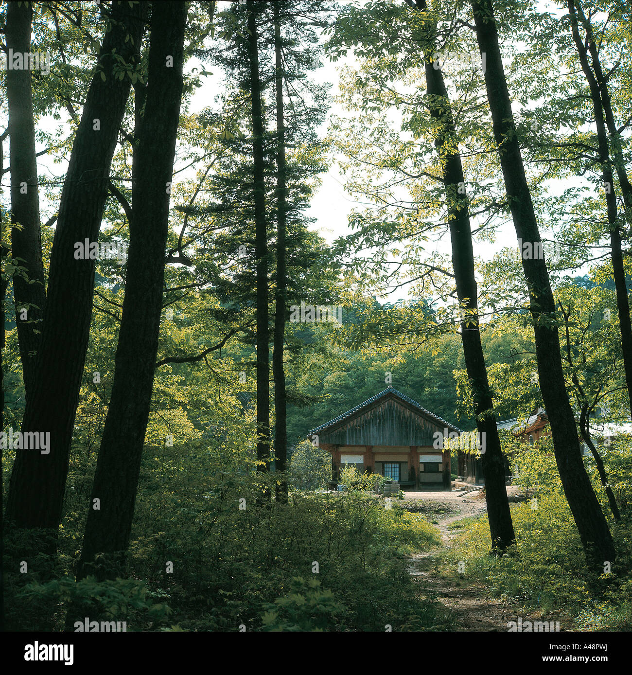 Facade of a house surrounded by trees Stock Photo - Alamy