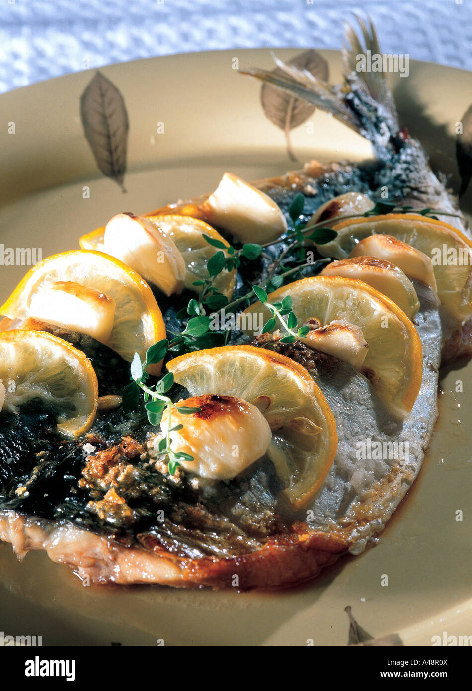 Close-up of salmon fish in a plate Stock Photo - Alamy