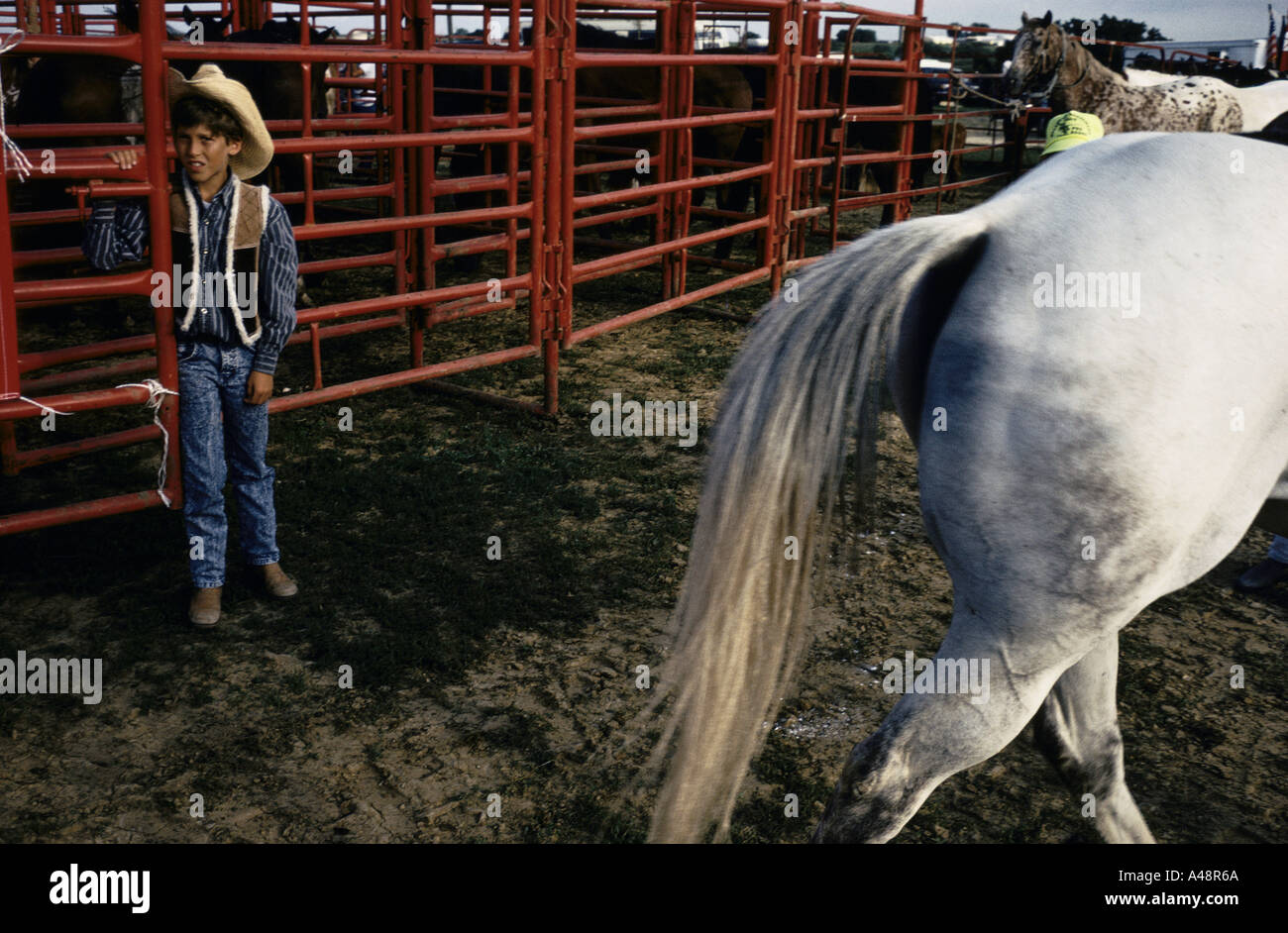 lincoln highway child cowboy standing by horse pen at rodeo bellvue ...