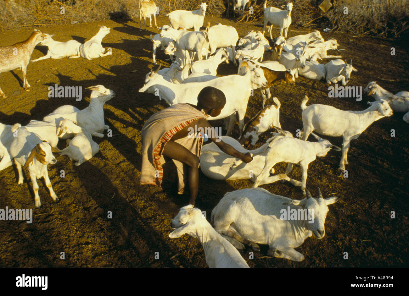 Masai Tribal Land High Resolution Stock Photography and Images - Alamy