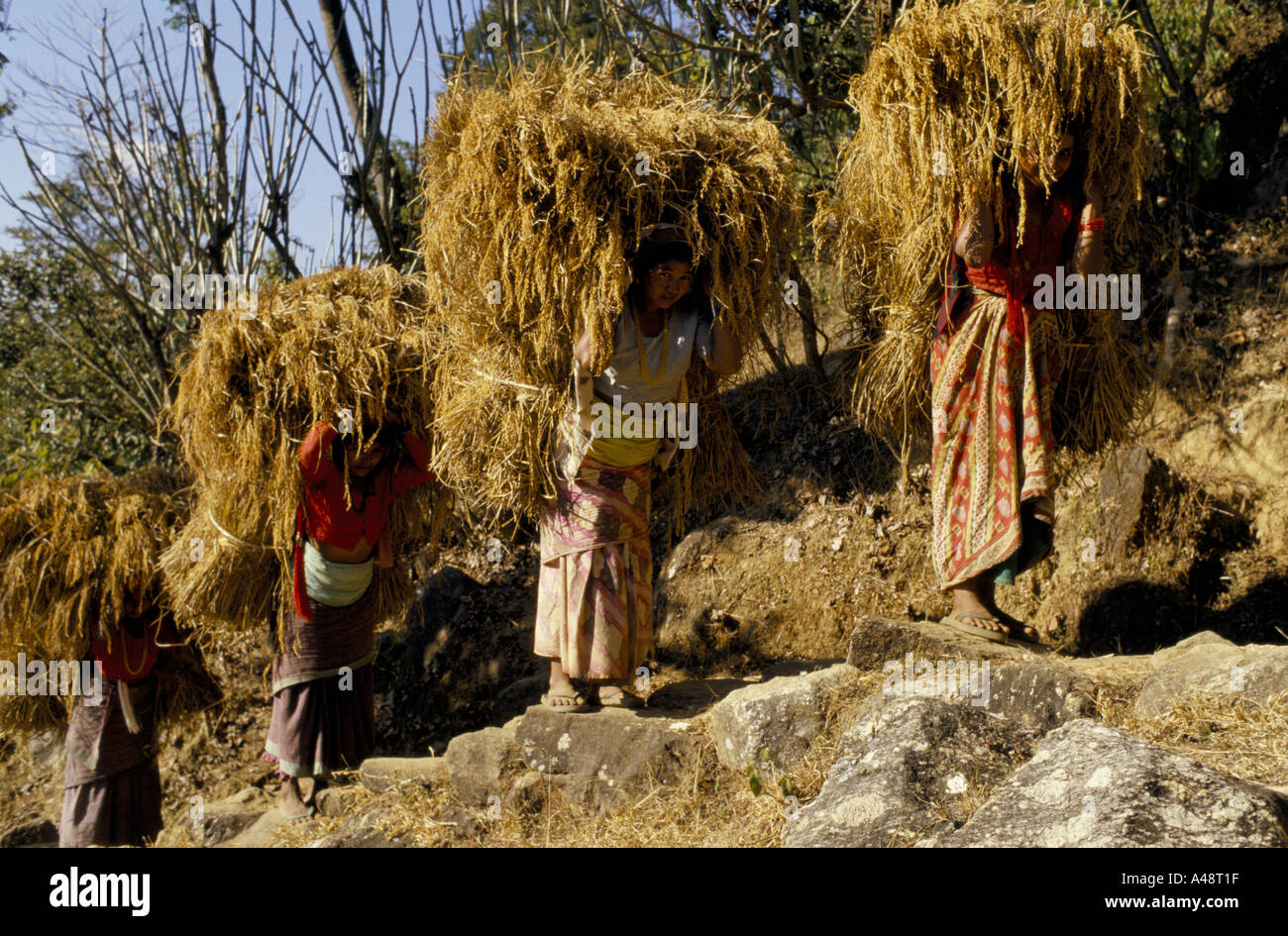 Women carrying things on head hi-res stock photography and images - Alamy